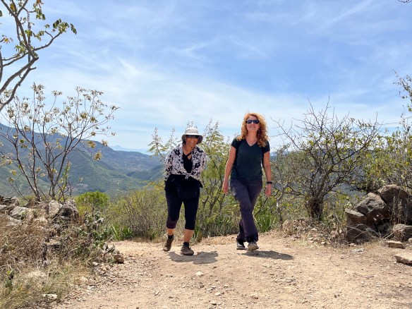 Traveling | Plant Photobiology